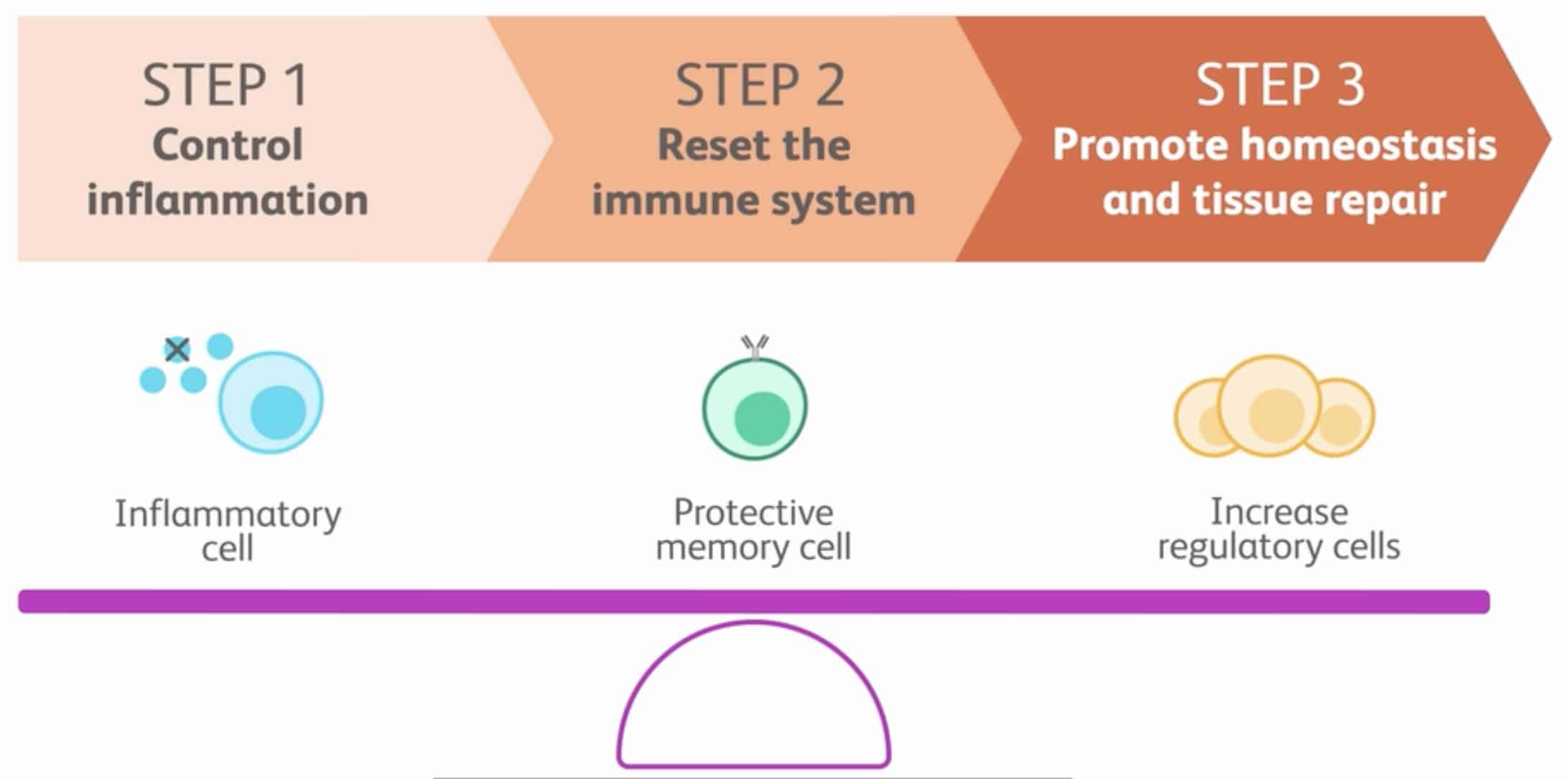 Sequential immunotherapy for functional cures in autoimmunity - Plenge ...